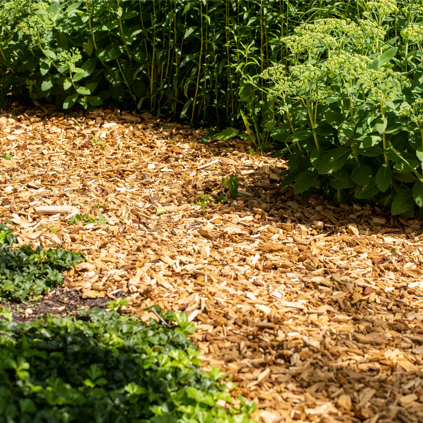 Dekor- und Abdeckmaterialien | RICOTER Erdaufbereitung AG