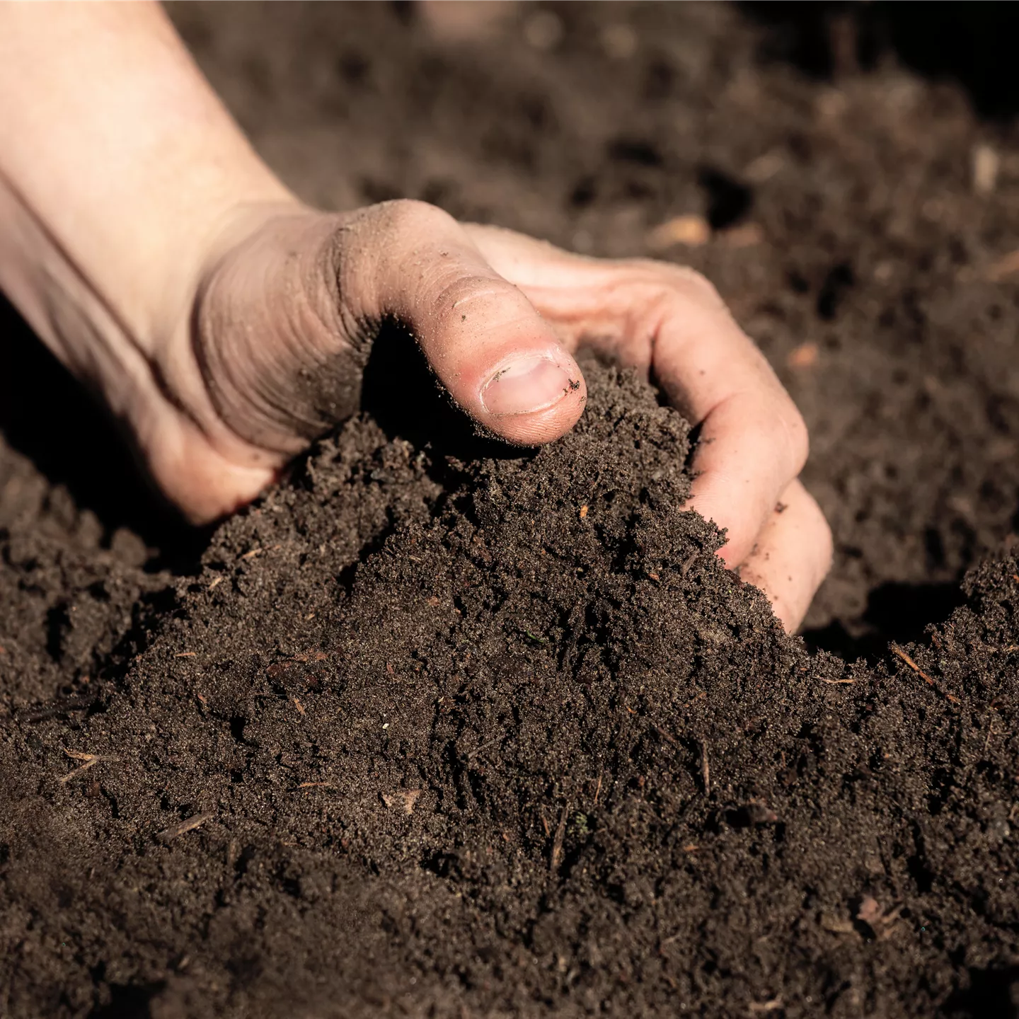 Garten | RICOTER Erdaufbereitung AG