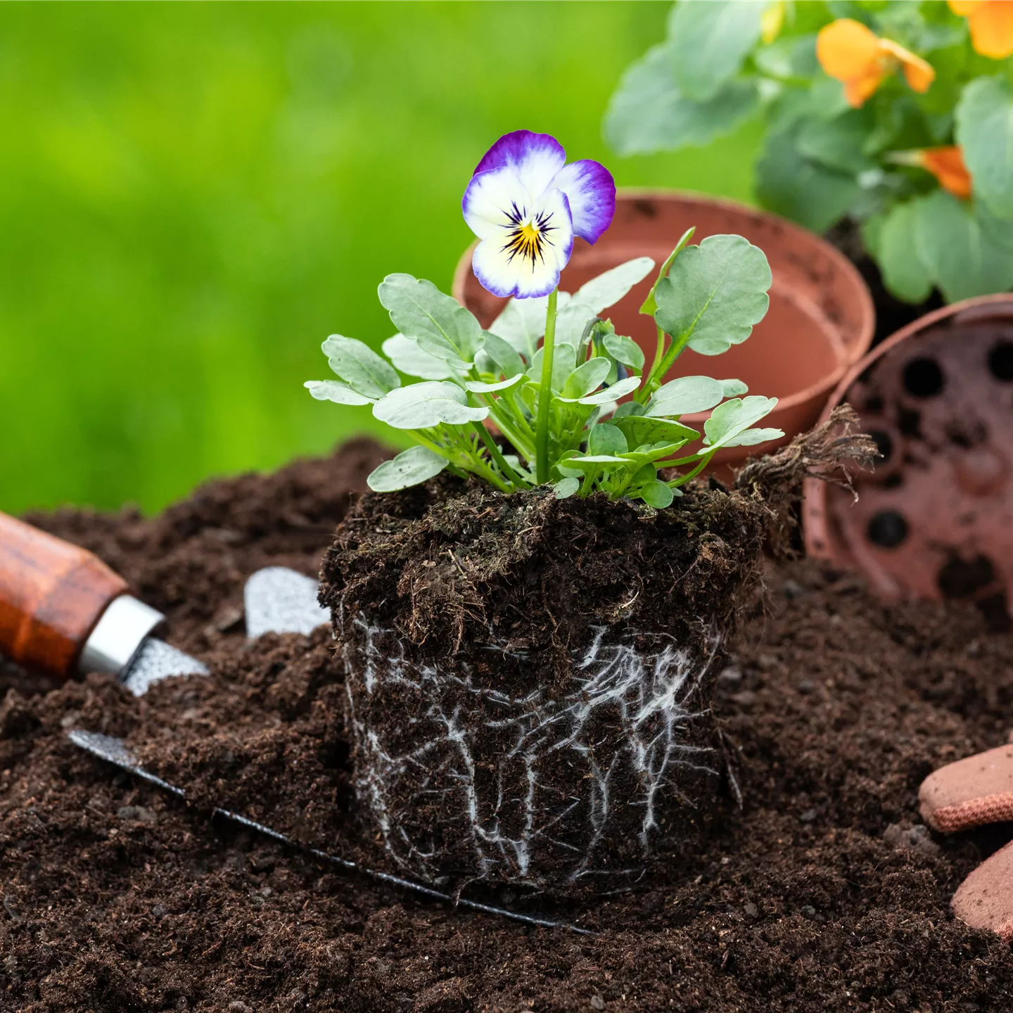 Terrasse & Balkon | RICOTER Erdaufbereitung AG