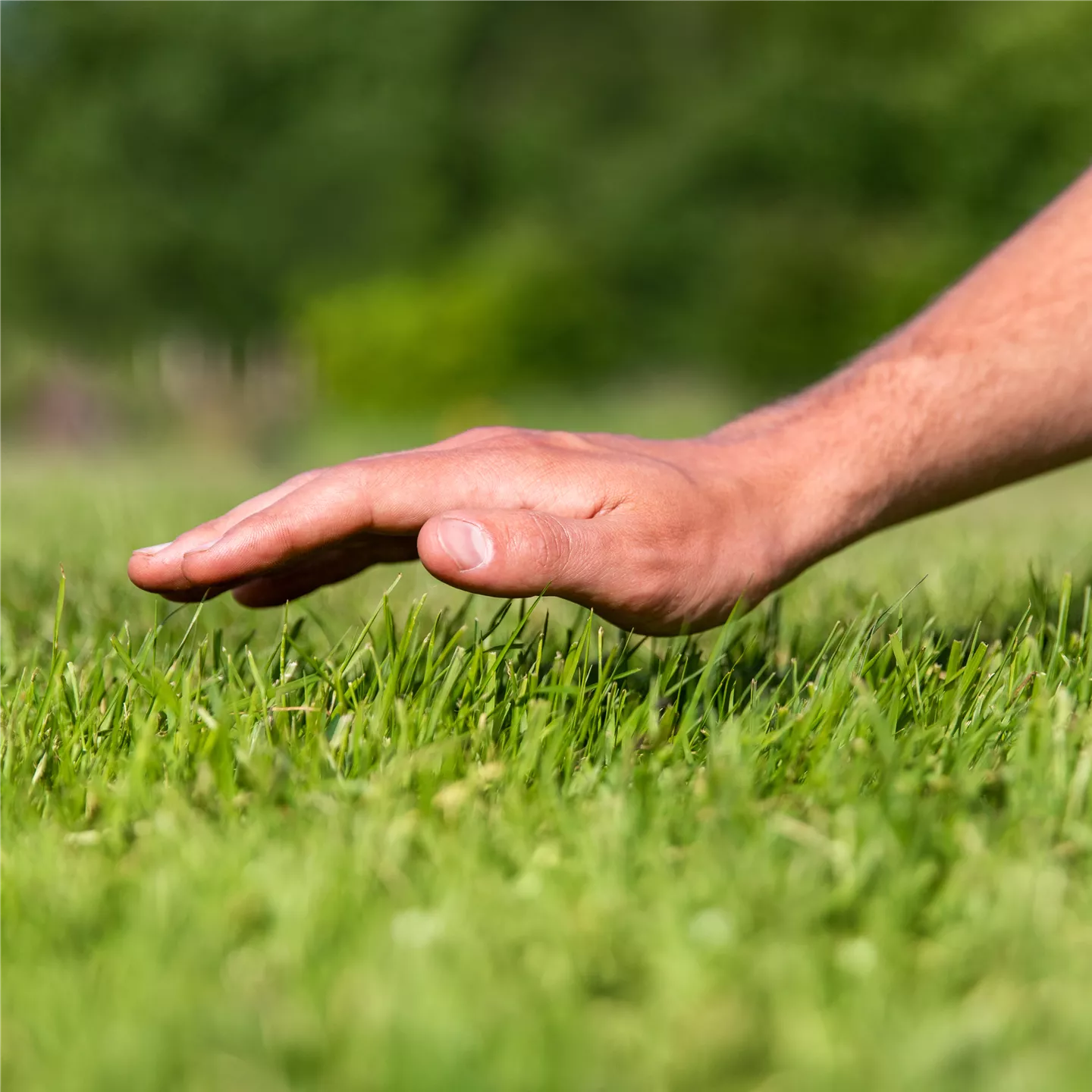 Rasenerde einfach online kaufen | RICOTER | RICOTER Erdaufbereitung AG